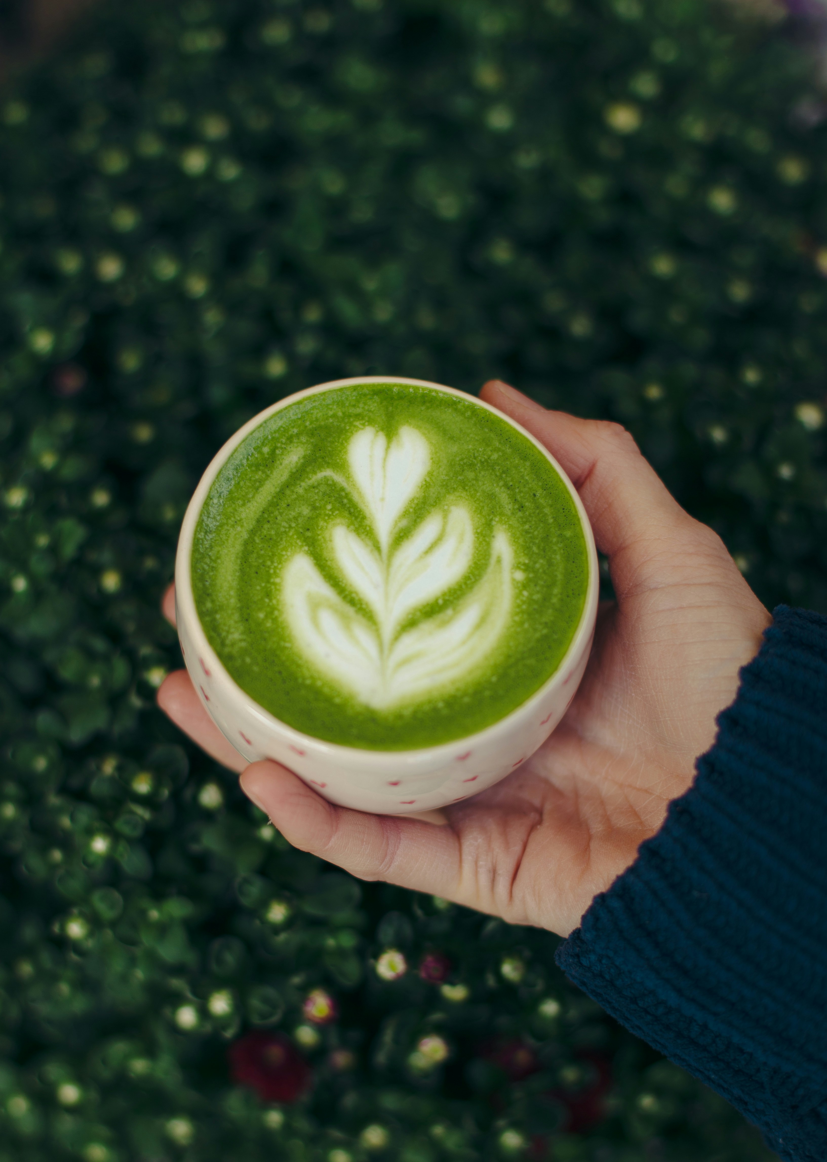 The Health Benefits Of Matcha | Coffee Knowledge Hub